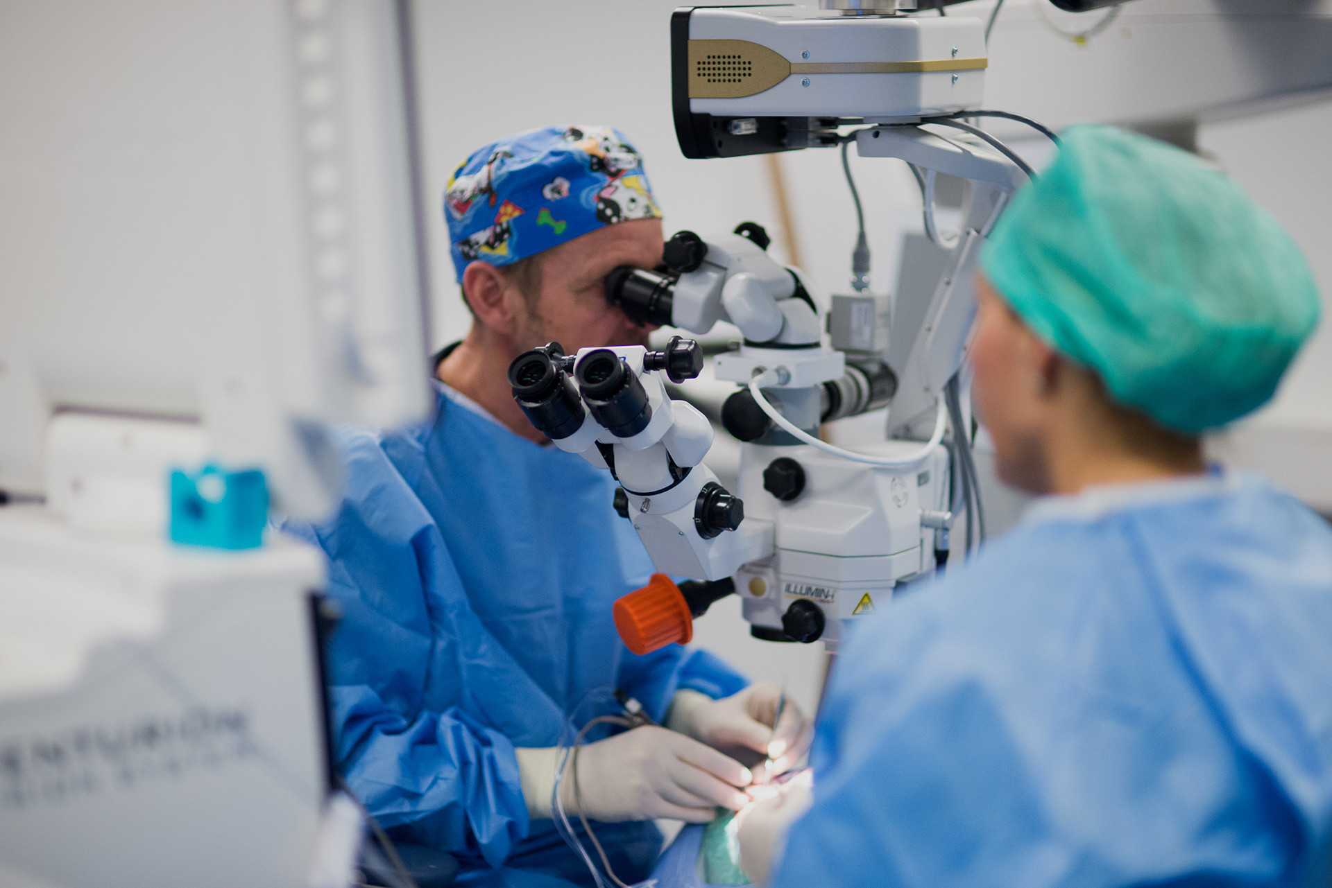 Nettside produksjon Ifocus - ZOCIAL